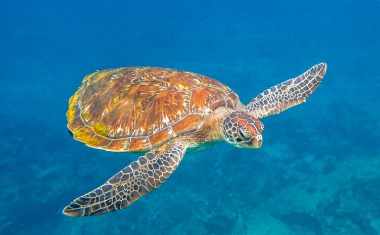 Discovering Thailand in April: A Detailed Guide for Travellers