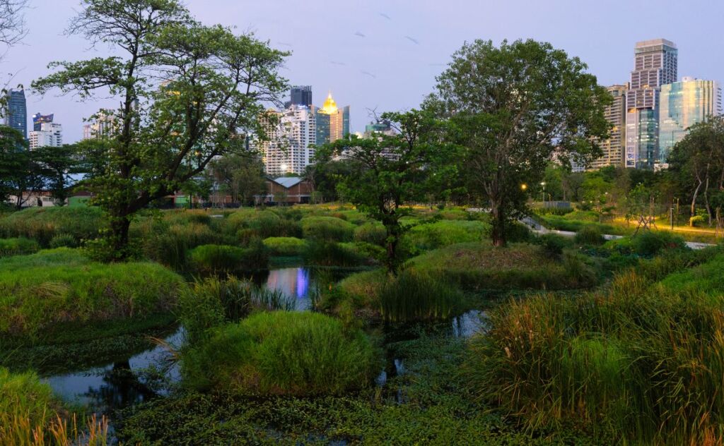 Bangkok's Parks: A Guide to 6 of the City's Top Green Spaces - Thailand ...